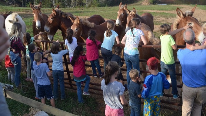 724th Special Tactics Group